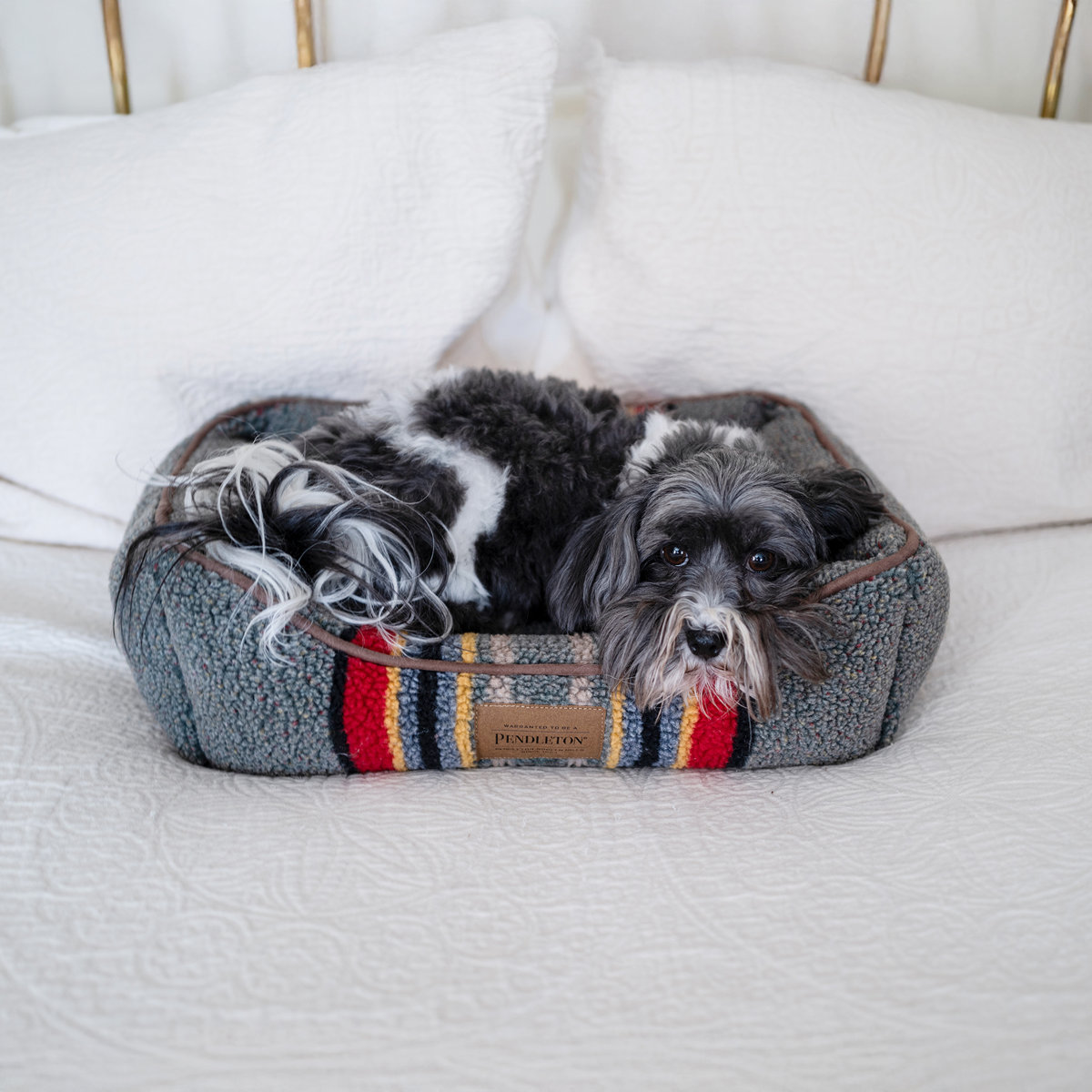 Pendleton Vintage Camp Mini Kuddler Dog Bed | Wayfair